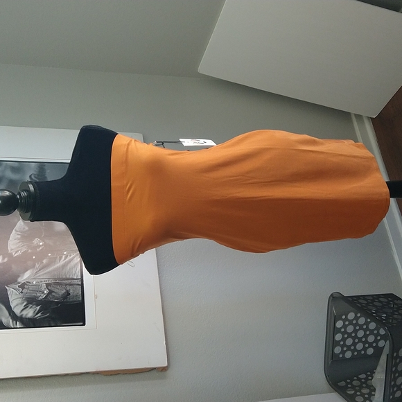 Isis | Dresses | Isis Large Burnt Orange Fitted Strapless Tube Dress ...